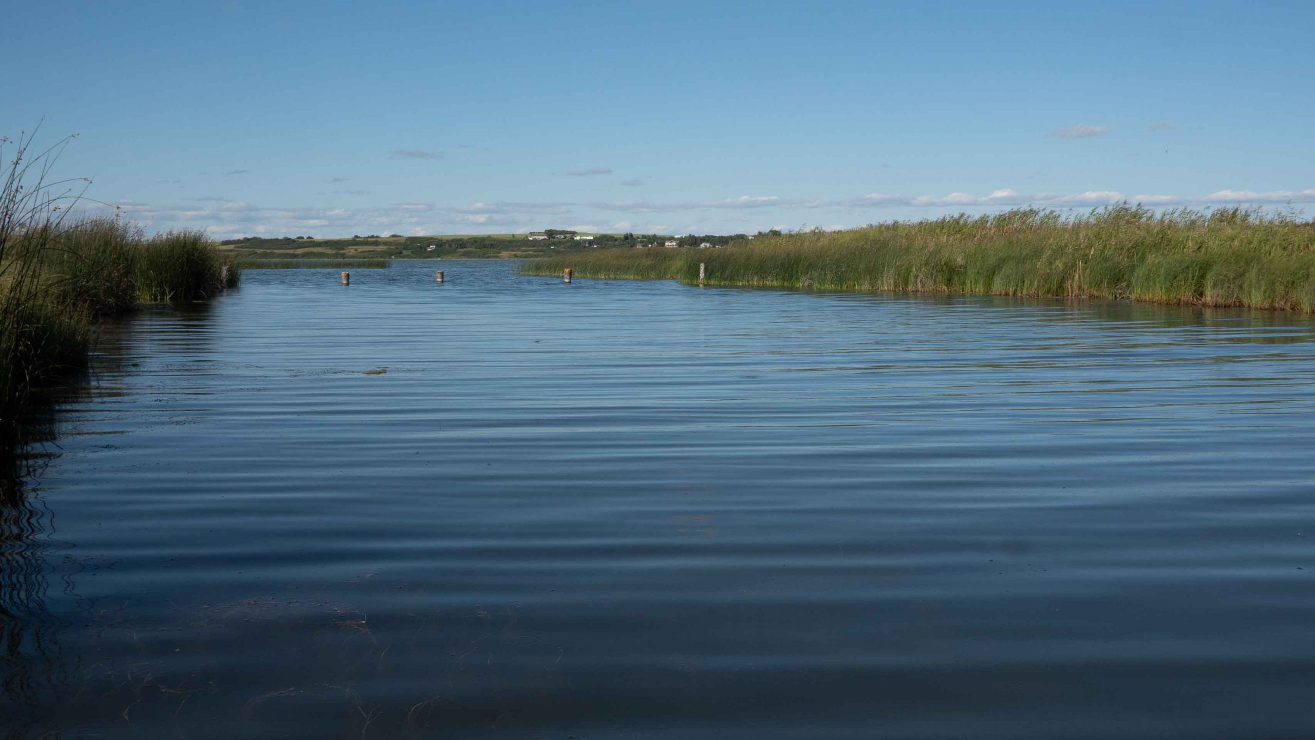 News - Jackfish Lake Watershed Association